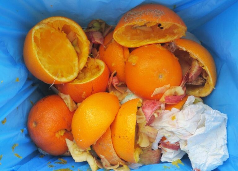 Food and Organic Waste Recycling in UAE-Green Land Recycling