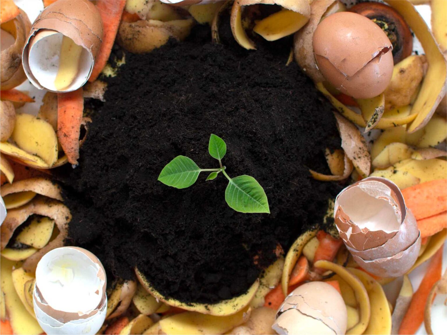 Food and Organic Waste Recycling in UAE-Green Land Recycling